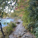 Ferncliff Trail, Pennsylvania - 1,279 Reviews, Map | AllTrails