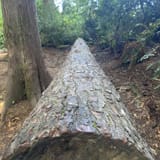 Dickerson Falls, Washington - 2,170 Reviews, Map | AllTrails