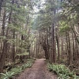Cape Flattery Trail, Washington - 2,066 Reviews, Map | AllTrails