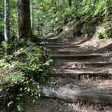Rampart Ridge Loop, Washington - 2,039 Reviews, Map | AllTrails