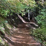 Rampart Ridge Loop, Washington - 2,039 Reviews, Map | AllTrails