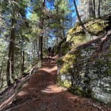 Rampart Ridge Loop, Washington - 2,039 Reviews, Map | AllTrails