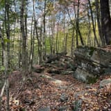 Canyon Vista Trail, Pennsylvania - 816 Reviews, Map | AllTrails