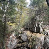 Riprap Trail , Virginia - 1,478 Reviews, Map | AllTrails