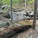 Cascade Falls Loop Trail , Maryland - 2,749 Reviews, Map | AllTrails