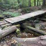 Cascade Falls Loop Trail , Maryland - 2,749 Reviews, Map | AllTrails