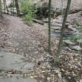 Cascade Falls Loop Trail , Maryland - 2,749 Reviews, Map | AllTrails