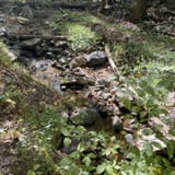 Cascade Falls Loop Trail , Maryland - 2,749 Reviews, Map | AllTrails