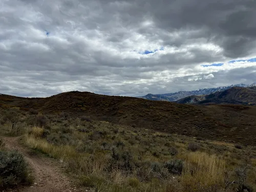 Best Hikes and Trails in Rasmussen Open Space | AllTrails