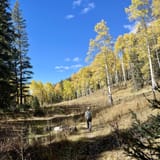 Blaine Basin, Colorado - 301 Reviews, Map | AllTrails