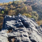 Massie Gap and Wilburn Ridge Loop, Virginia - 848 Reviews, Map | AllTrails