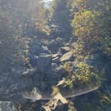 Massie Gap and Wilburn Ridge Loop, Virginia - 848 Reviews, Map | AllTrails