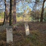 Mazeppa Park Trail, North Carolina - 465 Reviews, Map | AllTrails