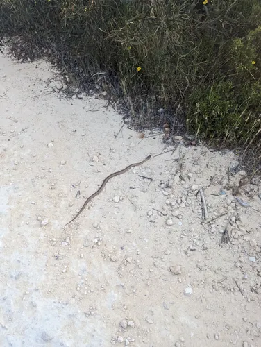 Best Hikes and Trails in Neerabup National Park | AllTrails