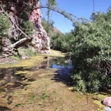 Parsons Trail, Arizona - 738 Reviews, Map | AllTrails