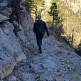 Observation Point via Stave Spring Trailhead, Utah - 422 Reviews, Map ...