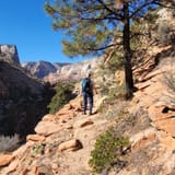Observation Point via Stave Spring Trailhead, Utah - 422 Reviews, Map ...