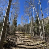 Abyss Trail to Helms Lake, Colorado - 2,239 Reviews, Map | AllTrails
