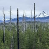 Square Lake, Oregon - 255 Reviews, Map | AllTrails