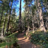 Radium Lake, British Columbia, Canada - 115 Reviews, Map | AllTrails