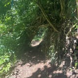 Pauoa Flats via Kalawahine Trail, Oahu, Hawaii - 1,211 Reviews, Map ...