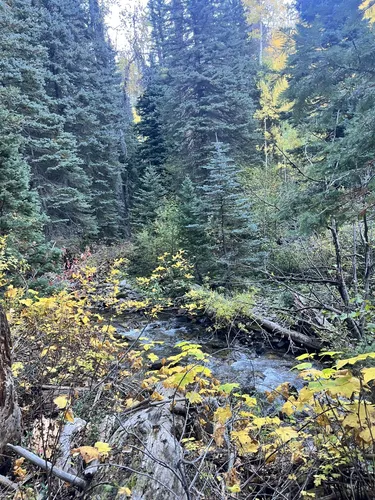 Best River Trails in Mancos | AllTrails