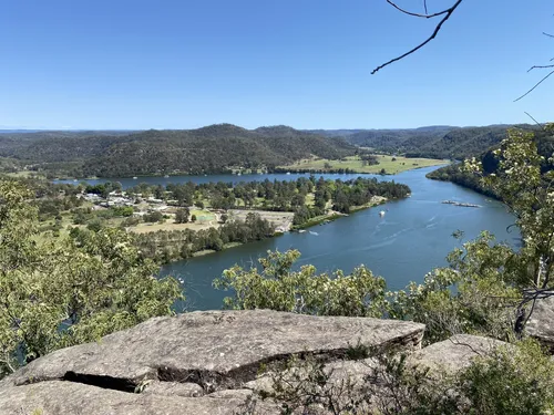 10 Best Forest Trails in Dharug National Park | AllTrails