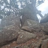 Mount Cameron, Tasmania, Australia - 39 Reviews, Map | AllTrails