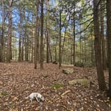 Arbutus Park and Raven Rookery Trail Loop , Massachusetts - 623 Reviews ...