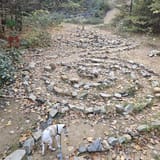 Arbutus Park and Raven Rookery Trail Loop , Massachusetts - 623 Reviews ...