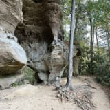 Angel Windows Trail, Kentucky - 1,129 Reviews, Map | AllTrails