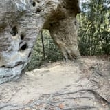 Angel Windows Trail, Kentucky - 1,129 Reviews, Map | AllTrails