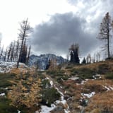 Easy Pass Trail, Washington - 464 Reviews, Map | AllTrails