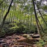 Boone Fork Trail, North Carolina - 3,142 Reviews, Map | AllTrails