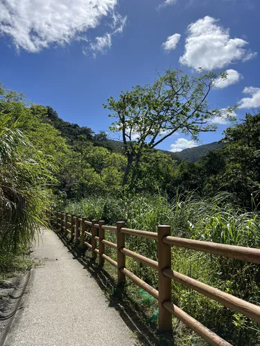 10 Best Trails and Hikes in Okinawa | AllTrails