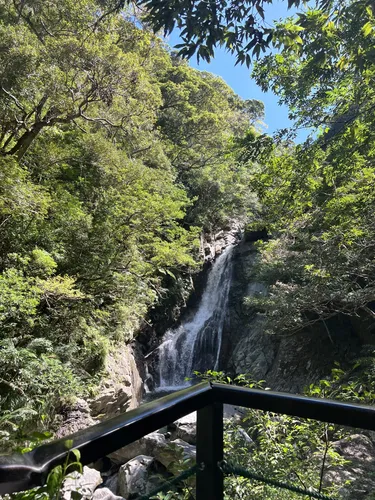 10 Best Hikes and Trails in Yambaru National Park | AllTrails