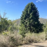 Enoggera Reservoir Circuit, Queensland, Australia - 1,563 Reviews, Map ...