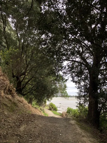 Best City Walk Trails in Takanini | AllTrails