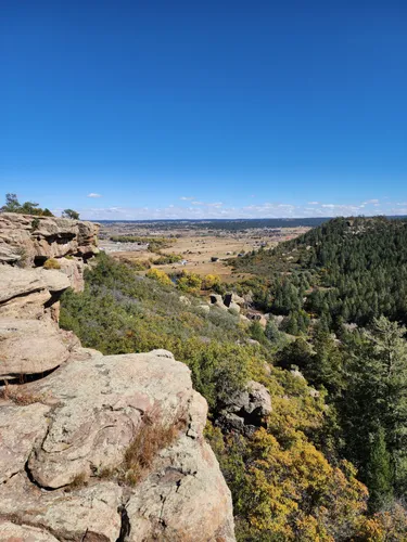 Best Forest Trails in Town of Castle Rock Trail Systems | AllTrails