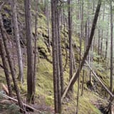Wilson Creek Falls Trail, British Columbia, Canada - 103 Reviews, Map ...
