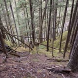 Wilson Creek Falls Trail, British Columbia, Canada - 103 Reviews, Map ...