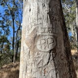 Pages Pinnacle , Queensland, Australia - 1,270 Reviews, Map | AllTrails