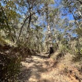 Pages Pinnacle , Queensland, Australia - 1,270 Reviews, Map | AllTrails