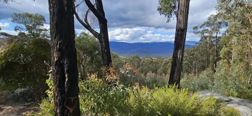 10 Best Hikes and Trails in Bunyip State Park | AllTrails