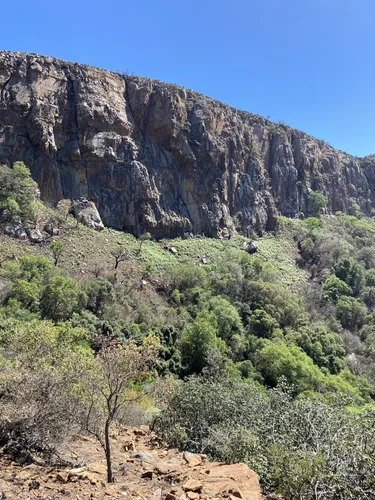 Los mejores senderos y rutas en Vergenoeg Nature Reserve | AllTrails