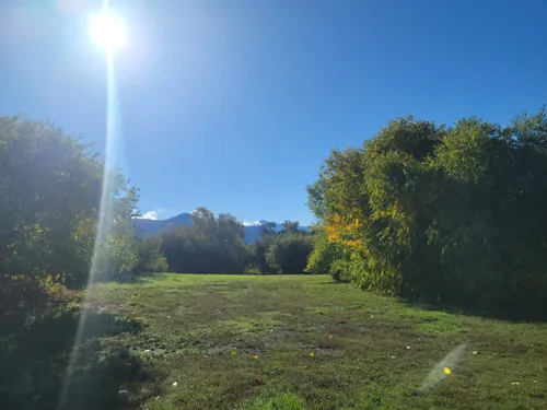 Best Hikes and Trails in Wadman Nature Park | AllTrails