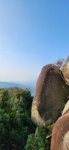 Best Hikes and Trails in Gunung Datuk Recreational Forest | AllTrails