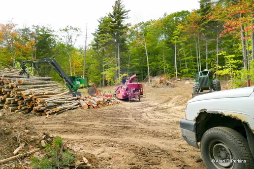 Best Hikes and Trails in Copple Crown Conservation Area | AllTrails