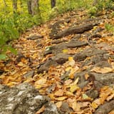 Appalachian Trail: Deep Gap to Dicks Creek, North Carolina - 86 Reviews ...