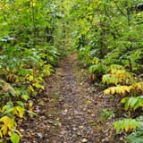 Appalachian Trail: Deep Gap to Dicks Creek, North Carolina - 86 Reviews ...